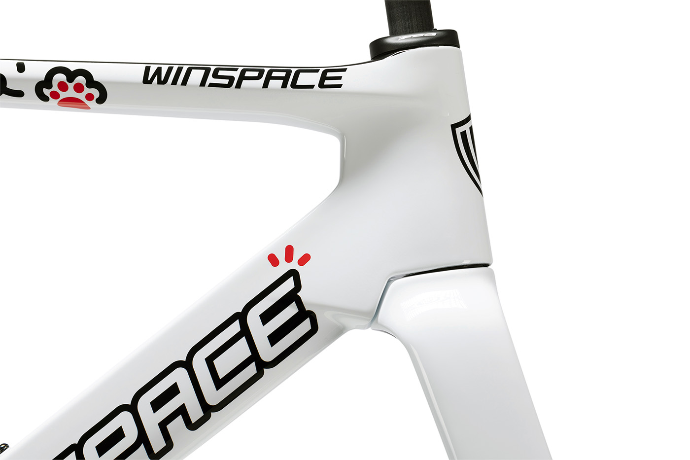 Winspace C5 Aero Frameset
